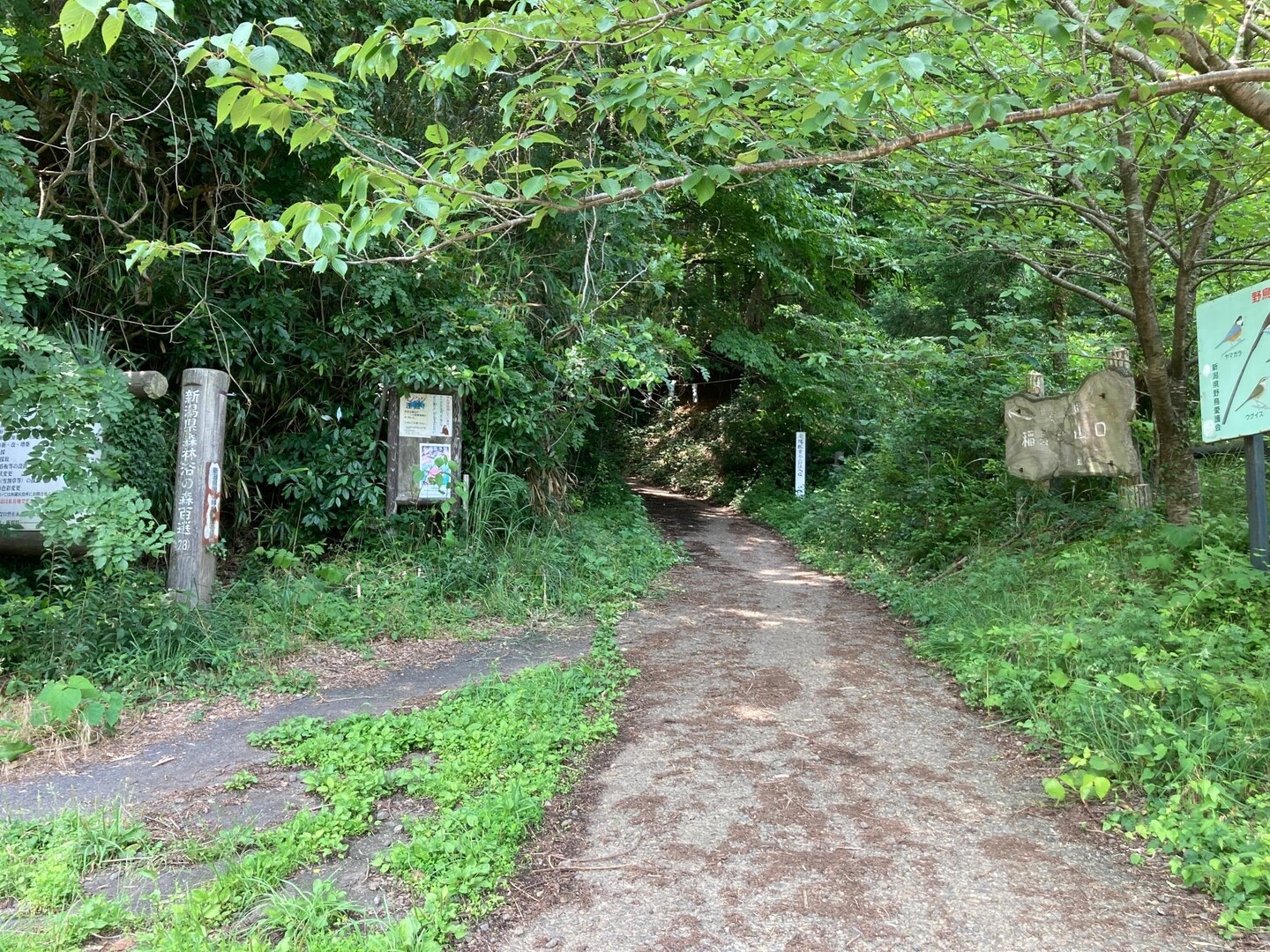 角田山(稲島コース) / mini98Dさんの角田山の活動データ | YAMAP / ヤマップ