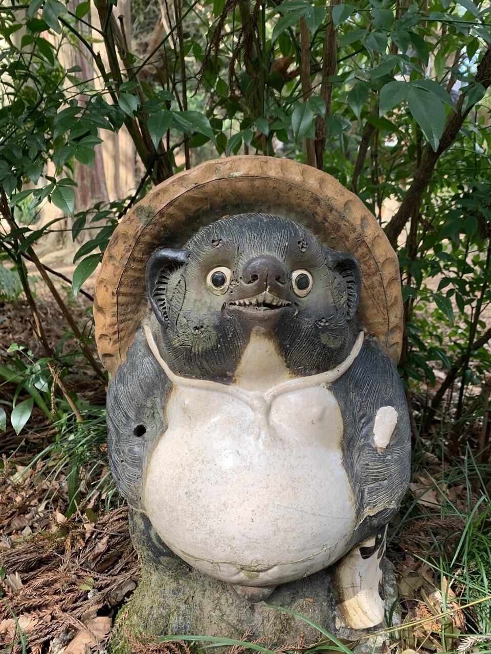 T REIのページ | YAMAP / ヤマップ