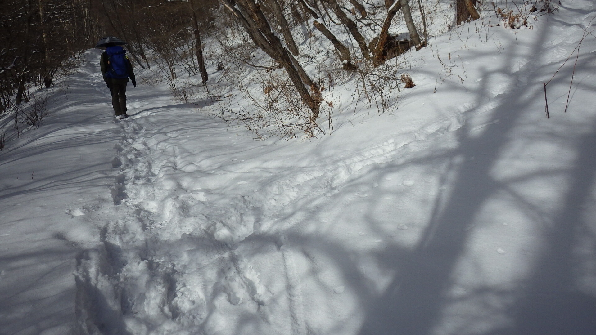 yudoburiさんの投稿したフィールドメモ | YAMAP / ヤマップ