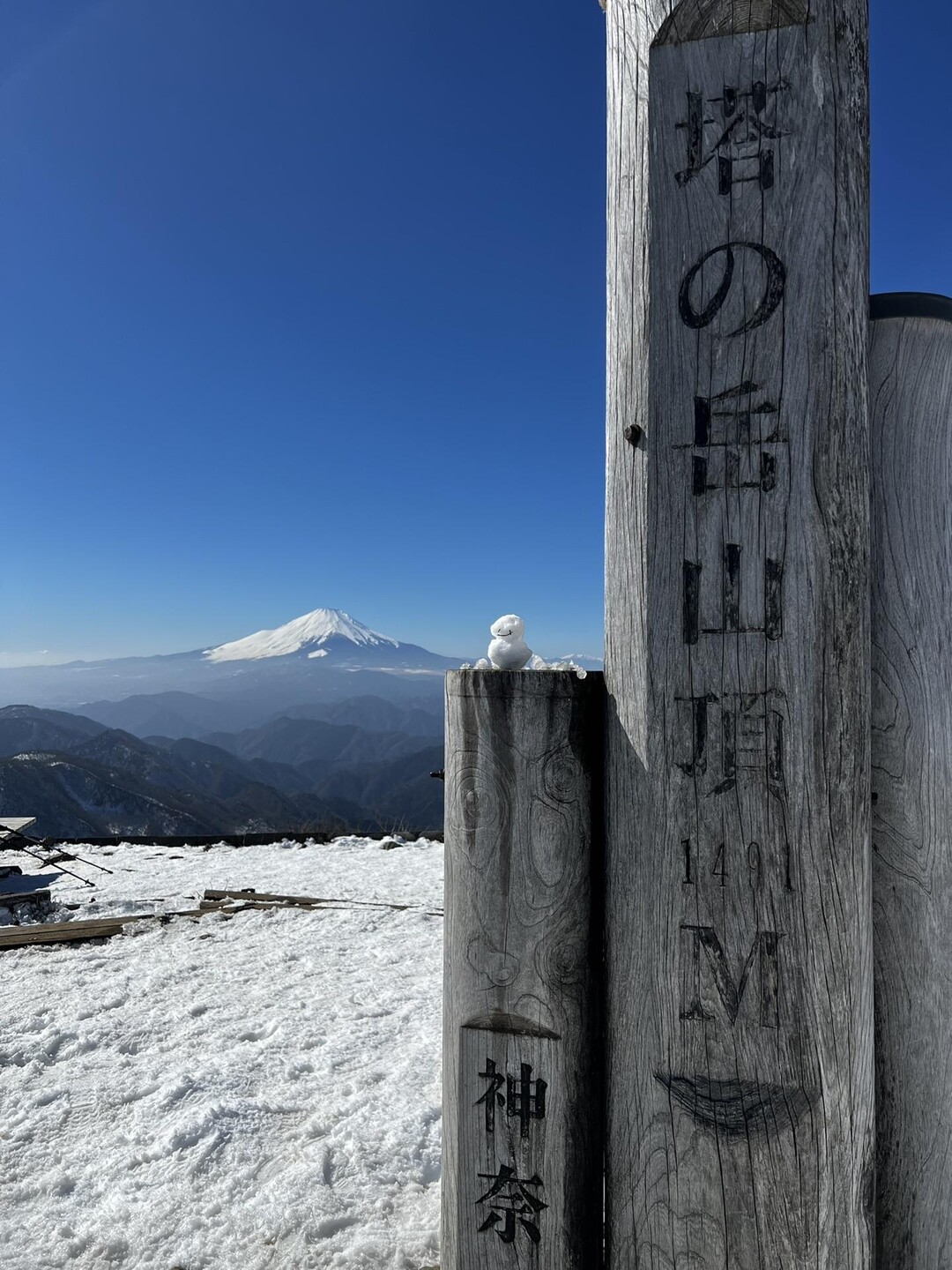 2月の丹沢 蓑毛 ︎塔ノ岳 ︎大倉 / mitsさんの塔ノ岳・丹沢山・蛭ヶ岳の活動データ | YAMAP / ヤマップ