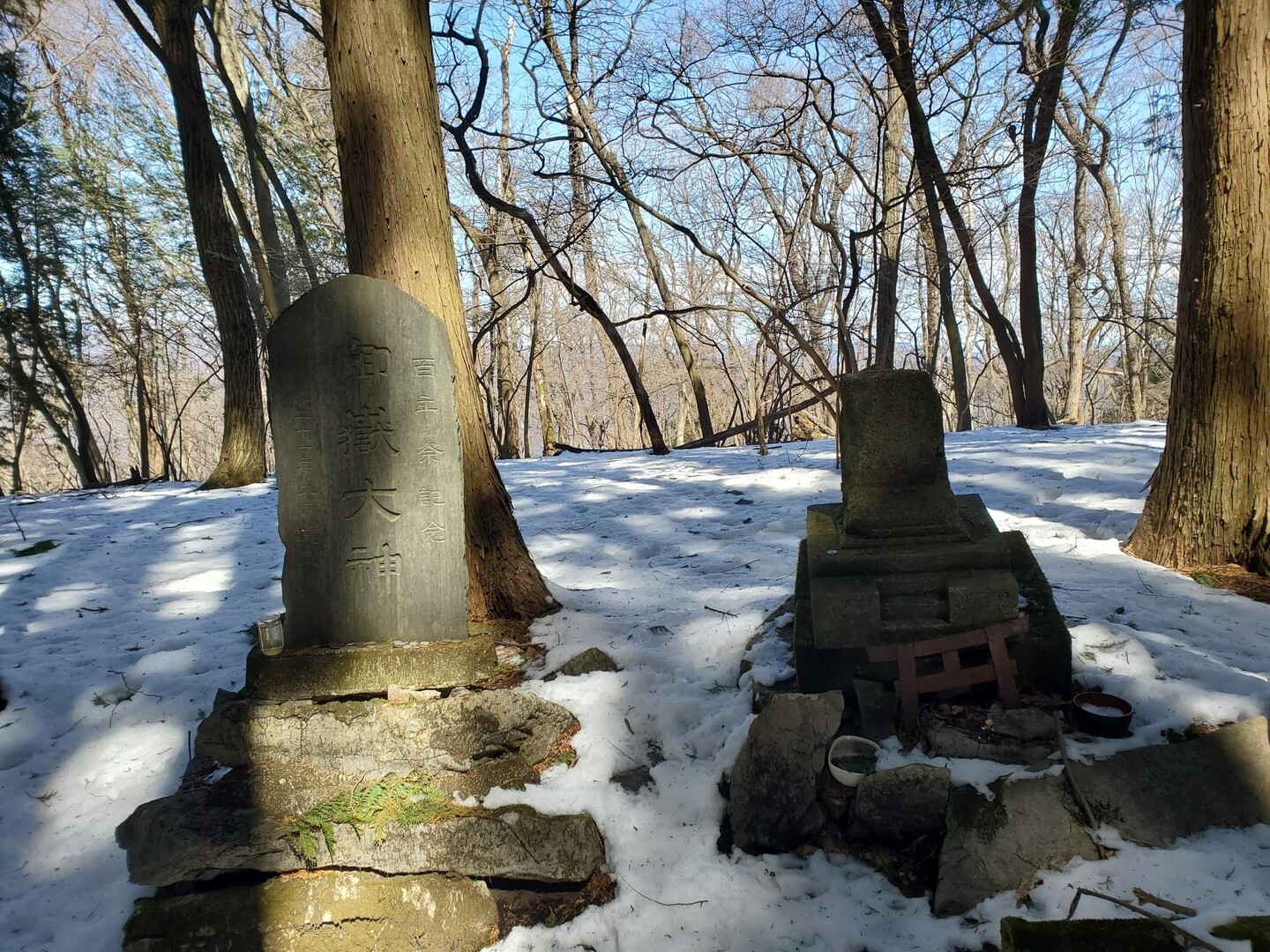 大鳥屋山 / E35-sun☀️さんの大鳥屋山・岳ノ山の活動データ | YAMAP / ヤマップ