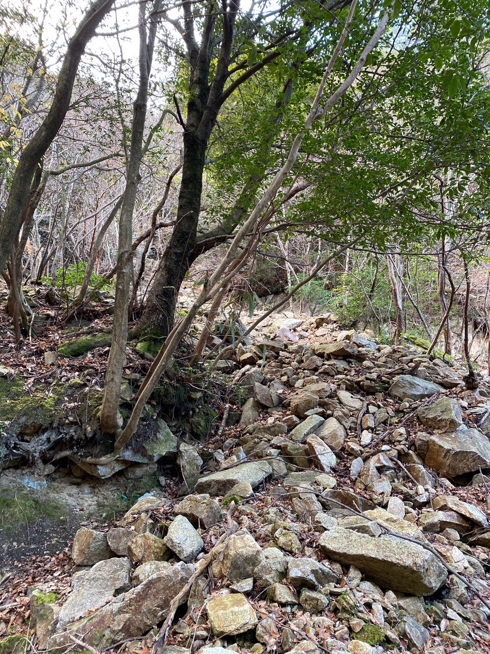 hideさんの投稿したフィールドメモ | YAMAP / ヤマップ