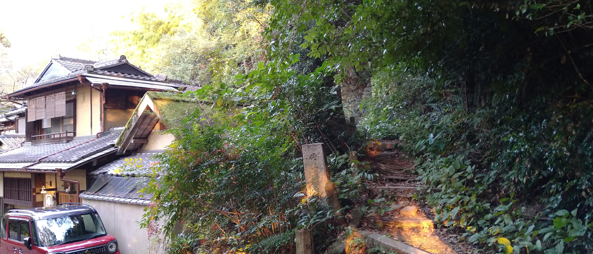 kame11さんの投稿したフィールドメモ | YAMAP / ヤマップ