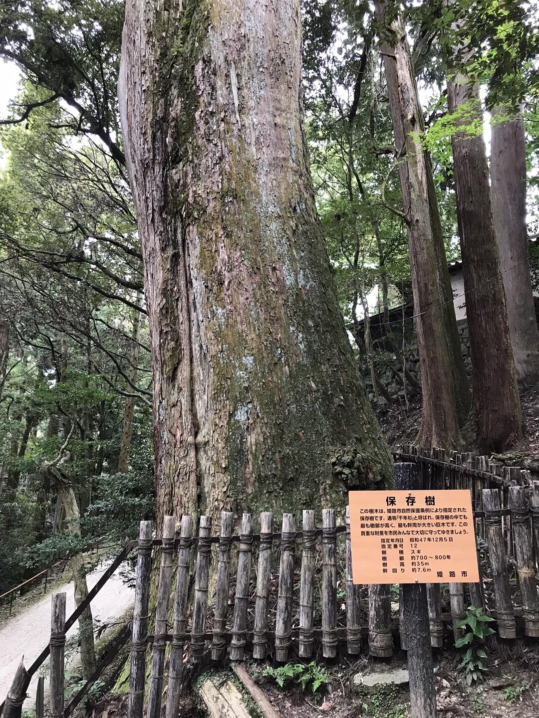 書写山紅葉前 / akiさんのモーメント | YAMAP / ヤマップ