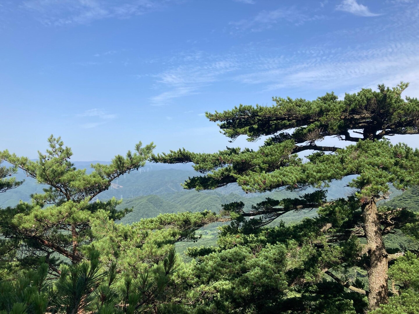 月山・二ッ箭山・女体山・男体山 / GA GAさんの二ッ箭山・三森山・猫鳴山の活動データ | YAMAP / ヤマップ