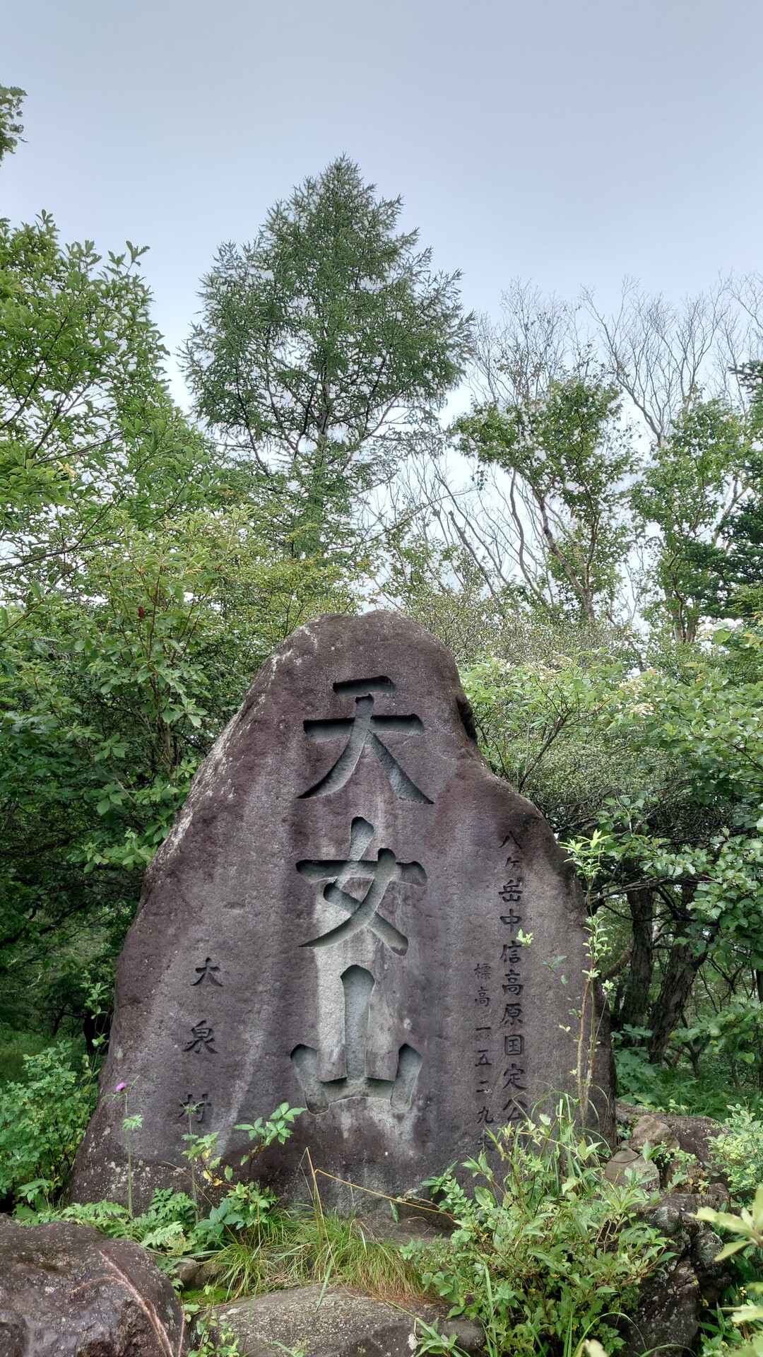 天女山 / 魂ちゃんFIREさんの八ヶ岳（赤岳・硫黄岳・天狗岳）の活動データ | YAMAP / ヤマップ