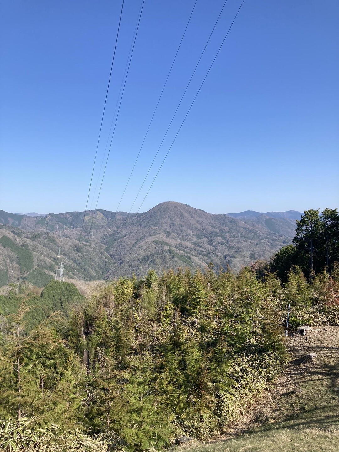 滝山 / cbmdさんの大丸峯の活動日記 | YAMAP / ヤマップ