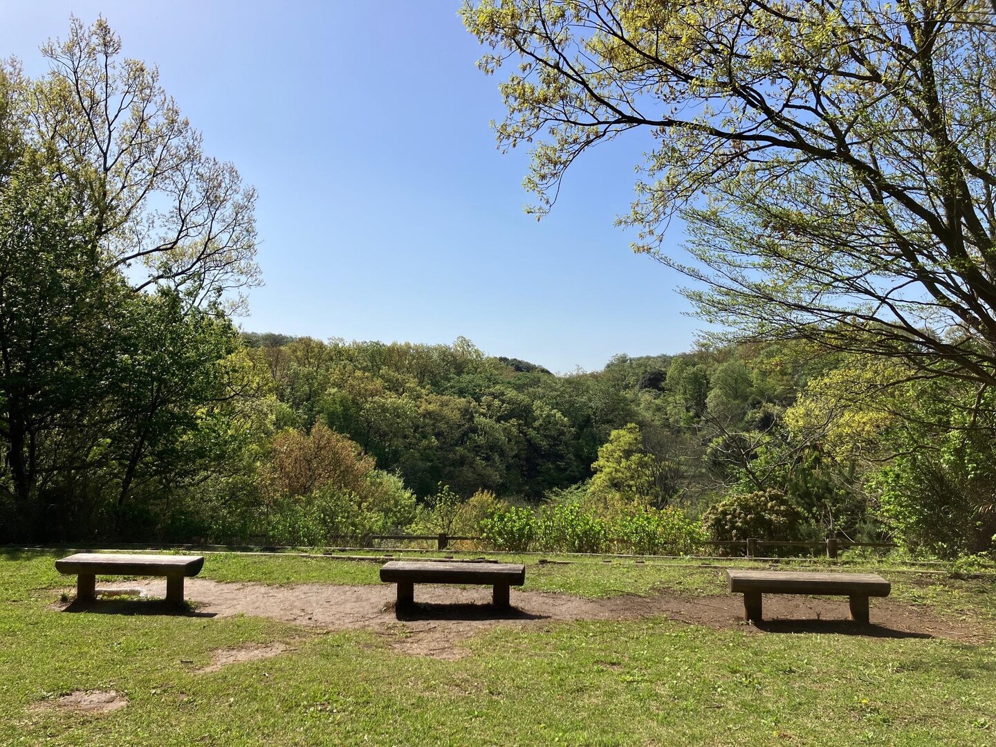 ウォーキング-2023-04-08 / You-kaさんのウォーキングの活動データ | YAMAP / ヤマップ