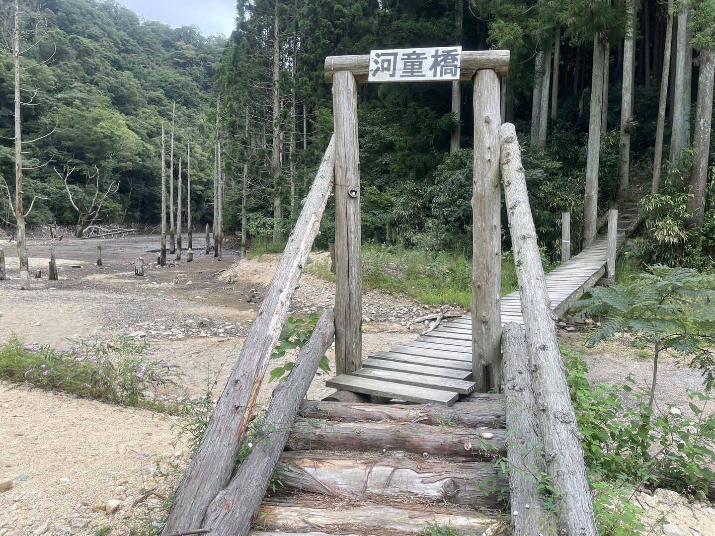 芦屋川→トゥエンティクロス→掬星台→灘温泉 / DJさんの六甲山・長峰山・摩耶山の活動データ | YAMAP / ヤマップ