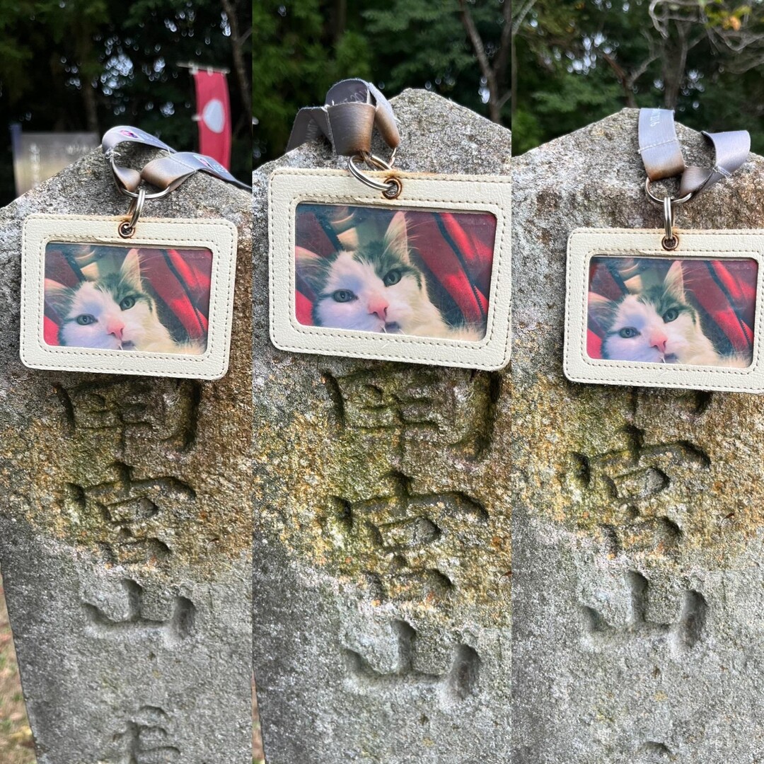 南宮山・なっくんと共にR6-46(通算245) / なっくんさんの南宮山・象鼻山の活動データ | YAMAP / ヤマップ