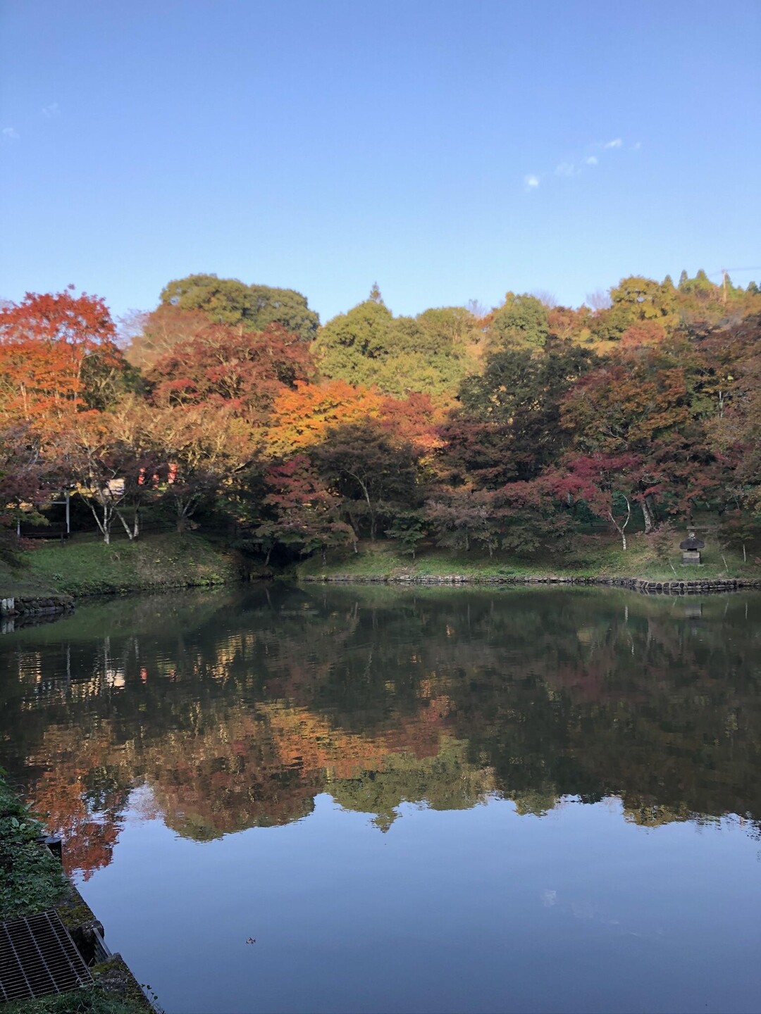 九州オル 奥豊後コース / mocoさんの九州オルレ・奥豊後コースの活動日記 | YAMAP / ヤマップ