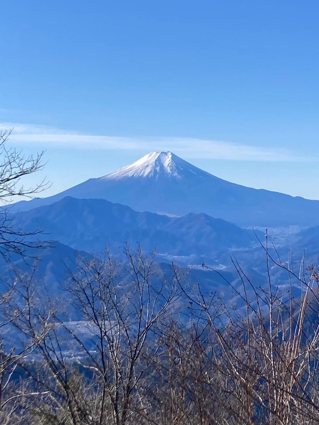 富士山輝く 権現山－扇山 / pagdoggyさんの権現山・奈良倉山の活動データ | YAMAP / ヤマップ