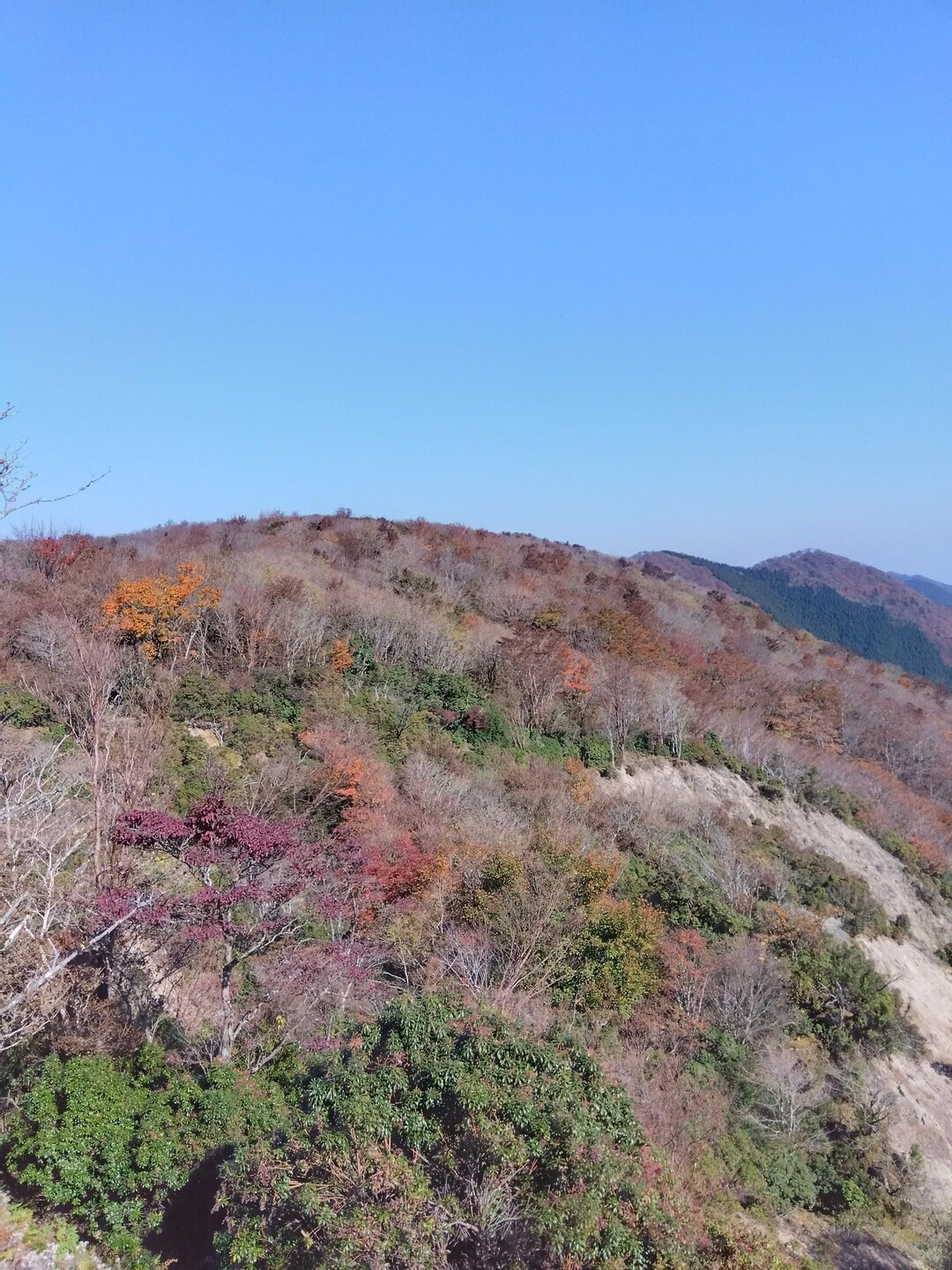 三峰山 / gasさんの三峰山・学能堂山・栗ノ木岳の活動データ | YAMAP / ヤマップ