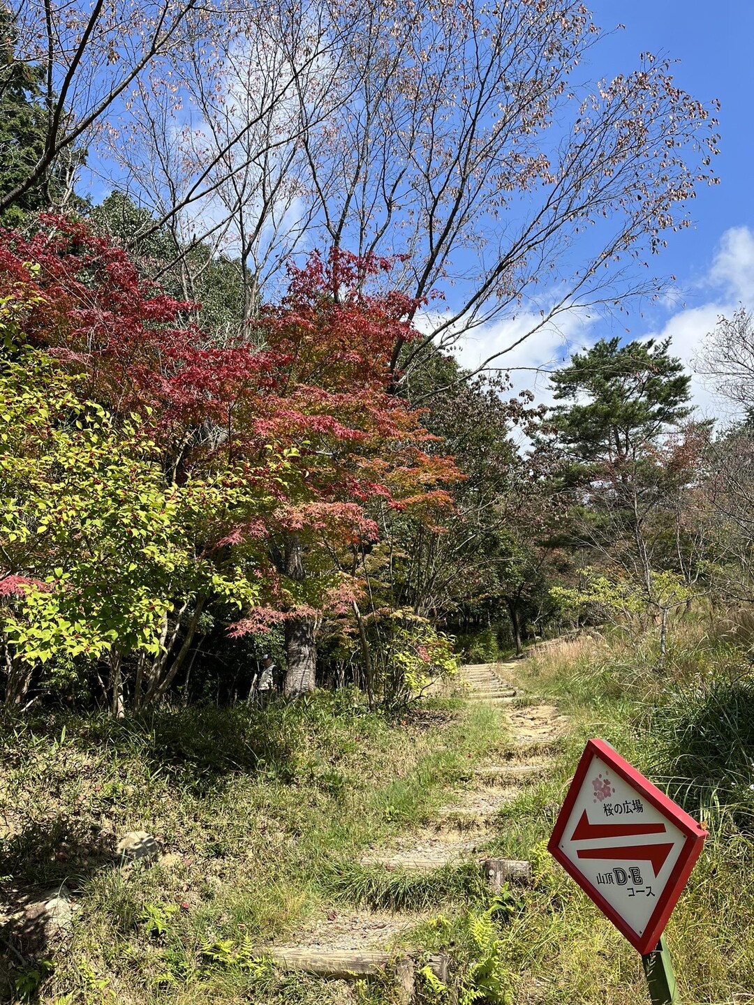 龍王山 / DC2 野郎さんの龍王山の活動データ | YAMAP / ヤマップ