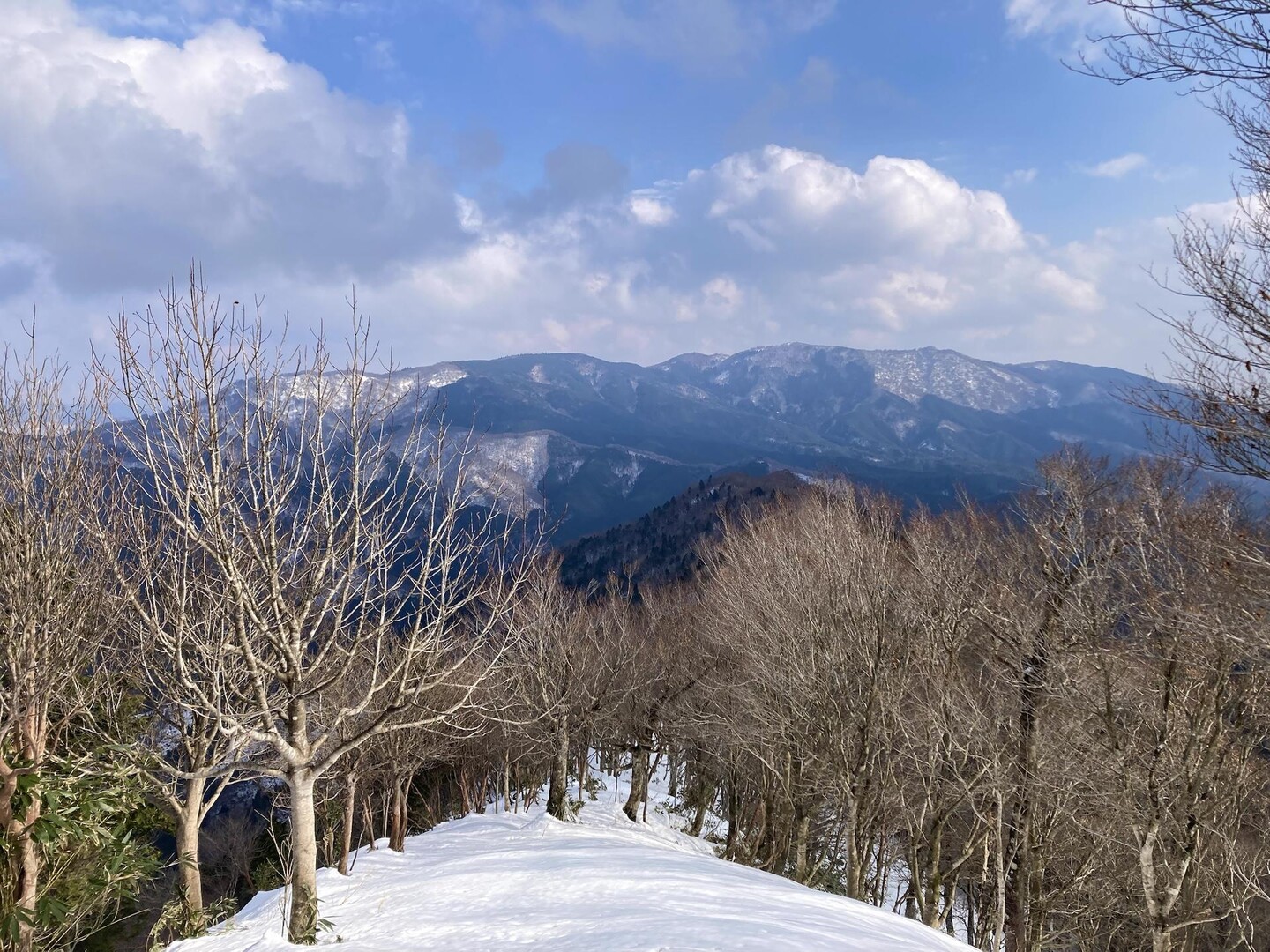 霰ヶ山・尼ヶ子山・入道山-2025-01-24 / トレラン初心者。さんの富栄山・大空山の活動日記 | YAMAP / ヤマップ