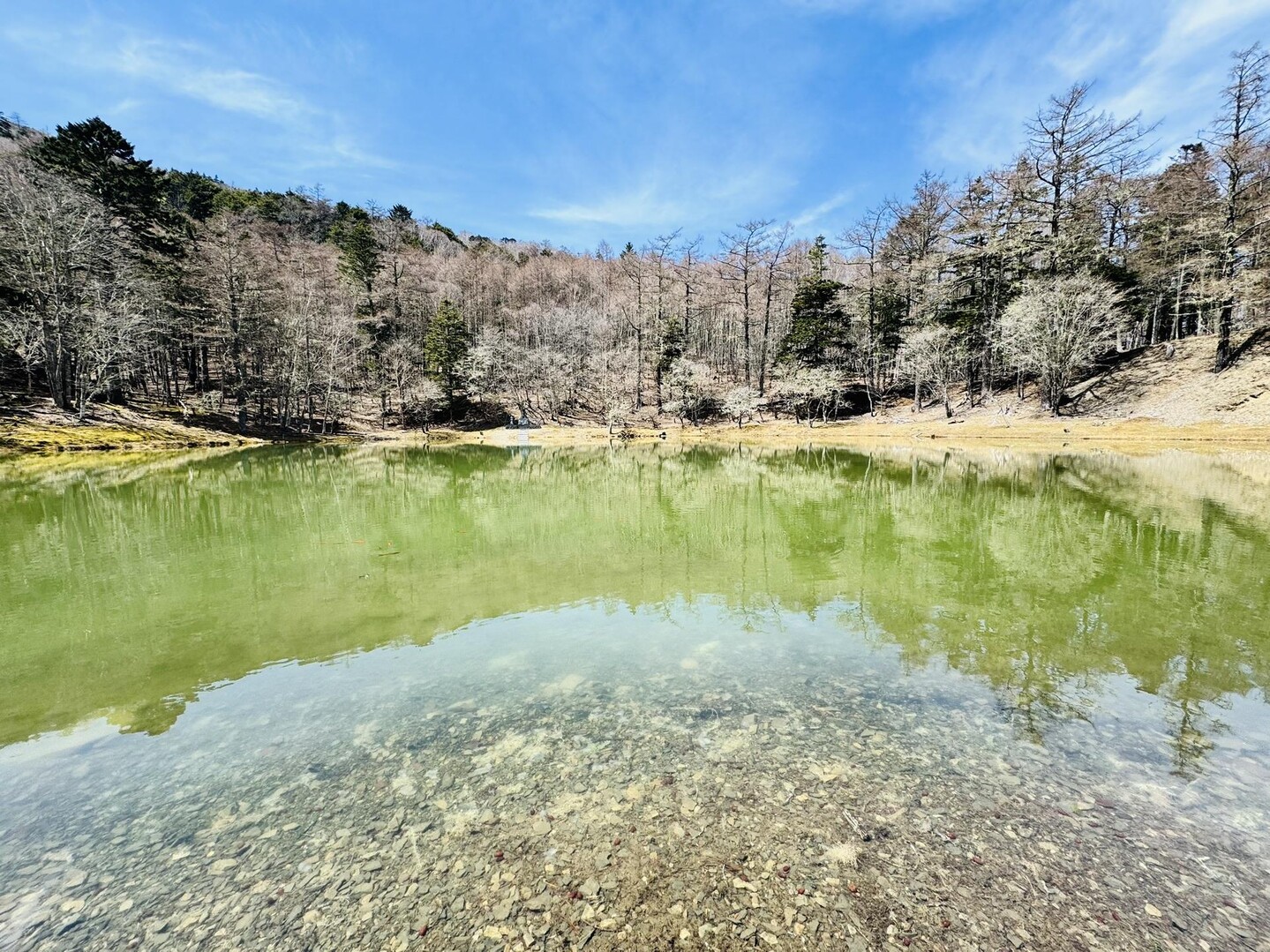 【山梨百名山】七面山・希望峰 / amuさんの七面山・身延山の活動データ | YAMAP / ヤマップ