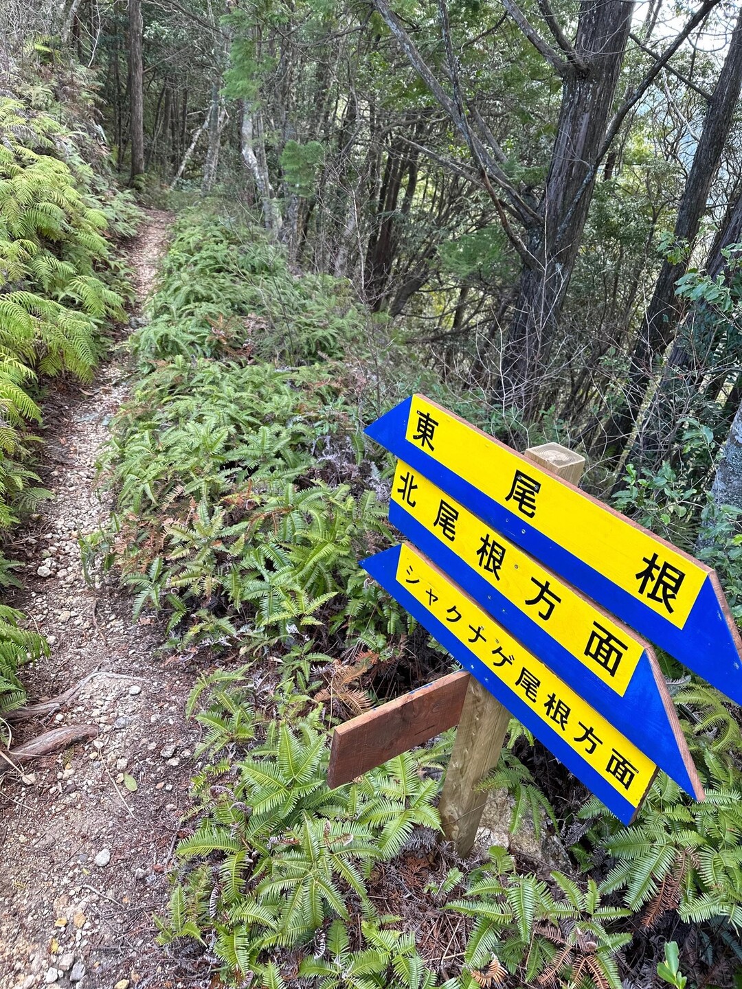 emiさんの投稿したフィールドメモ | YAMAP / ヤマップ