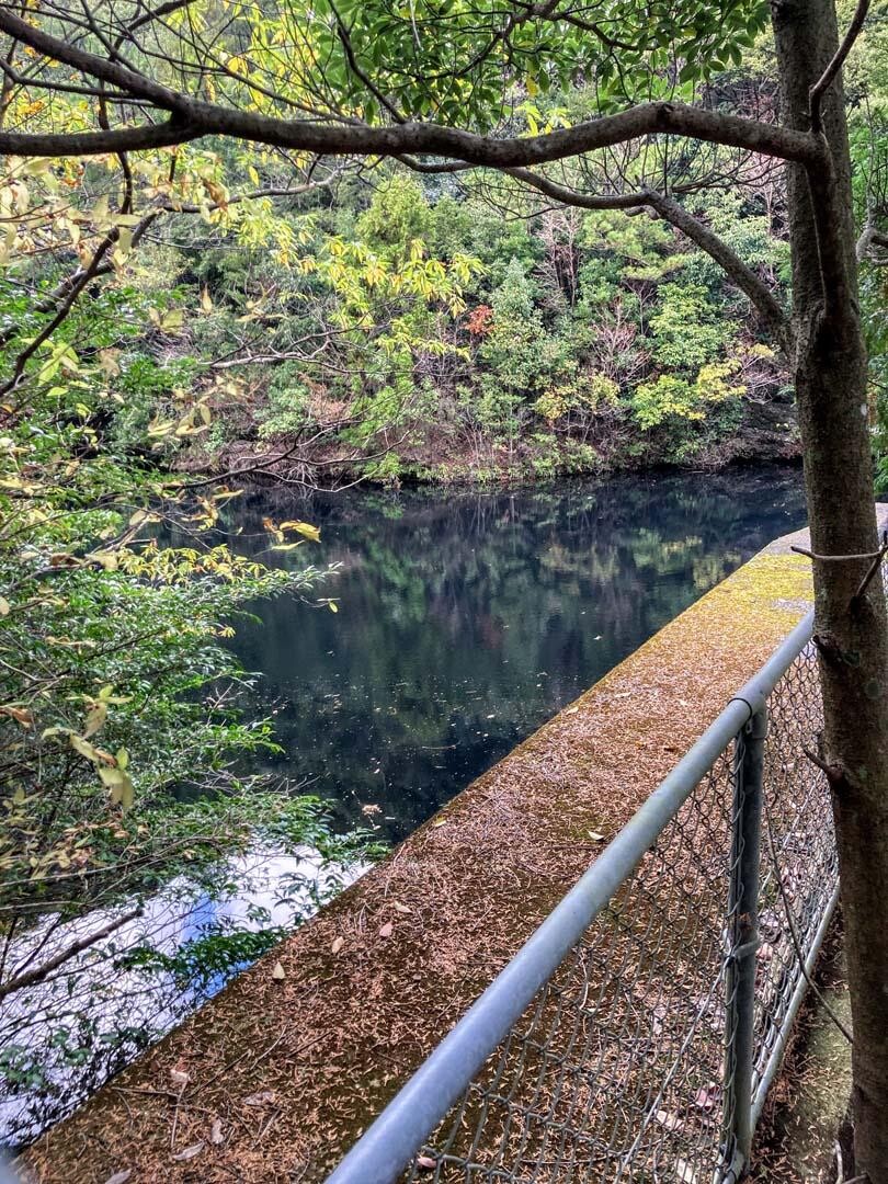 231123お万の茶屋周辺 / アルさんの八郎岳・松尾岳・熊ヶ峰の活動日記 | YAMAP / ヤマップ