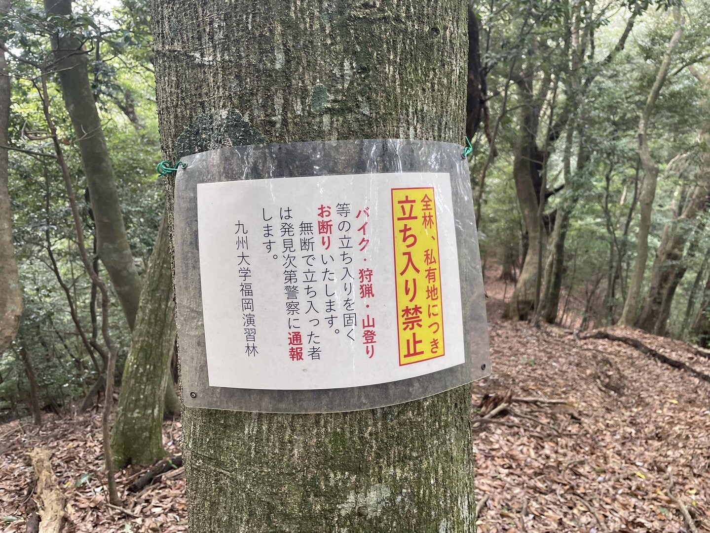 ぽっかぽかさんの投稿したフィールドメモ | YAMAP / ヤマップ