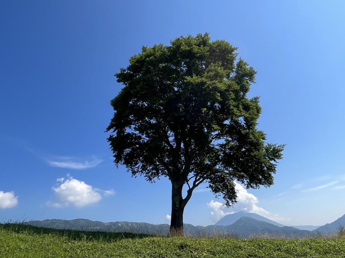 初の中倉山⛰は暑かった🔥 / A1さんの社山・半月山の活動データ | YAMAP / ヤマップ