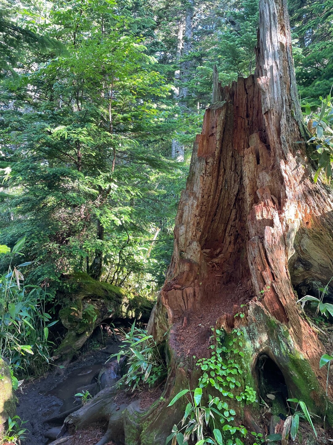 たけぞうさんの投稿したフィールドメモ | YAMAP / ヤマップ