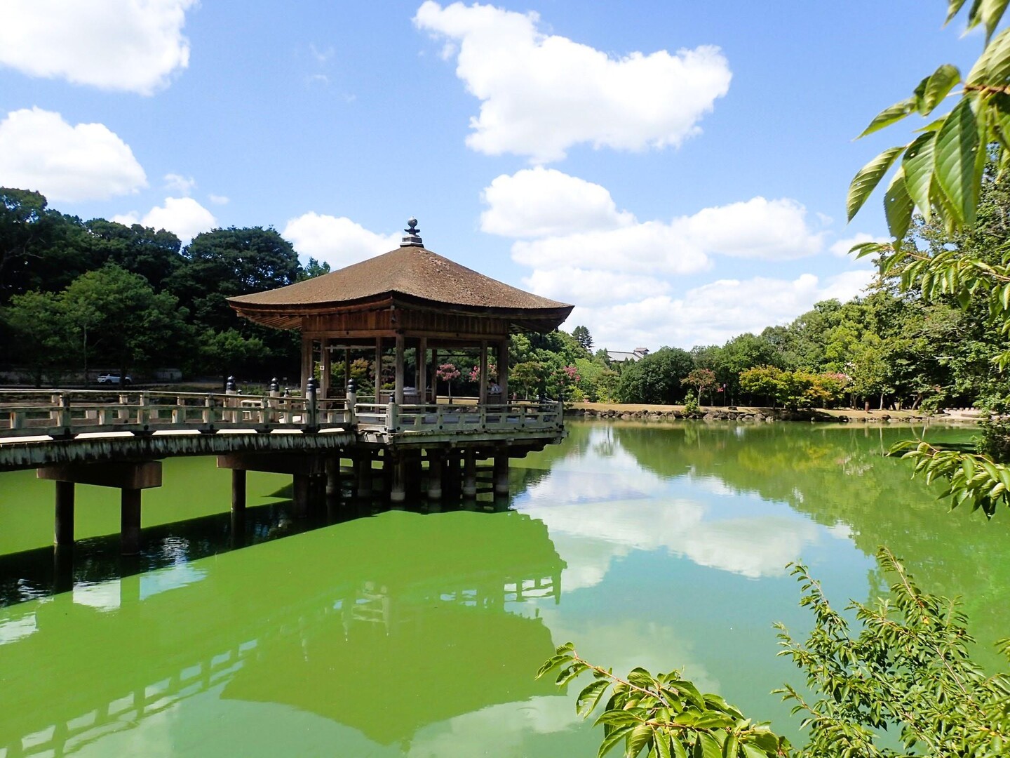 近鉄てくてくまっぷ【奈良-35】奈良公園から奈良町 歴史と文化コース / Thomasさんの若草山・芳山・高円山の活動データ | YAMAP / ヤマップ