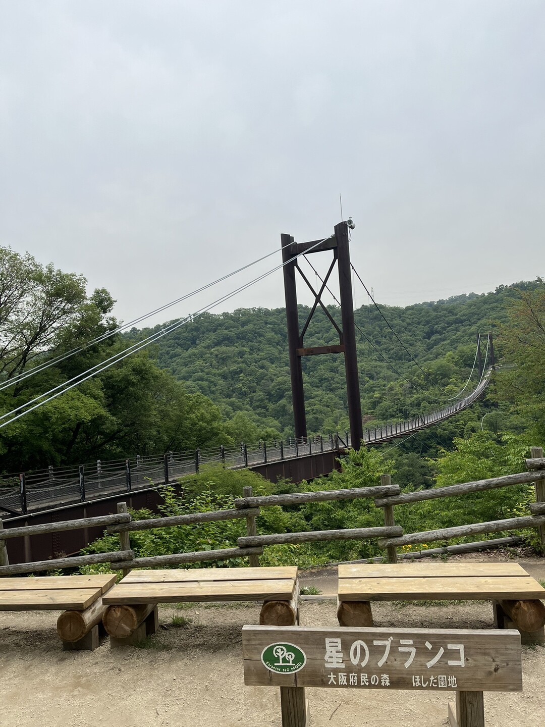 今日は滋賀の方の⛰に行く予定でしたが、朝... / chi@さんのモーメント | YAMAP / ヤマップ