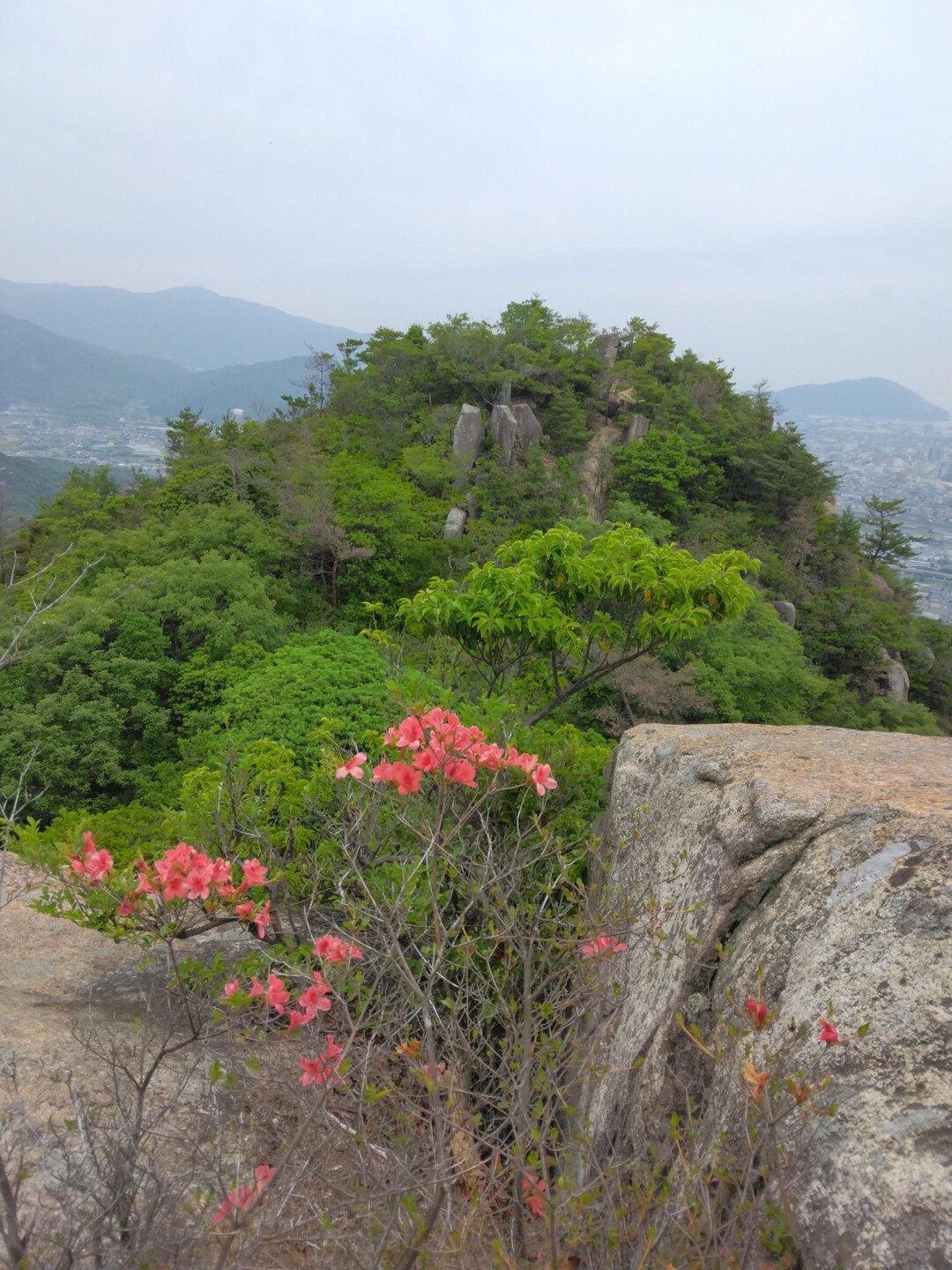 久～しぶりのtraining西目山～右田ヶ岳西峰・右田ヶ岳 / イッチャオさんの右田ヶ岳・西目山・楞厳寺山の活動データ | YAMAP / ヤマップ