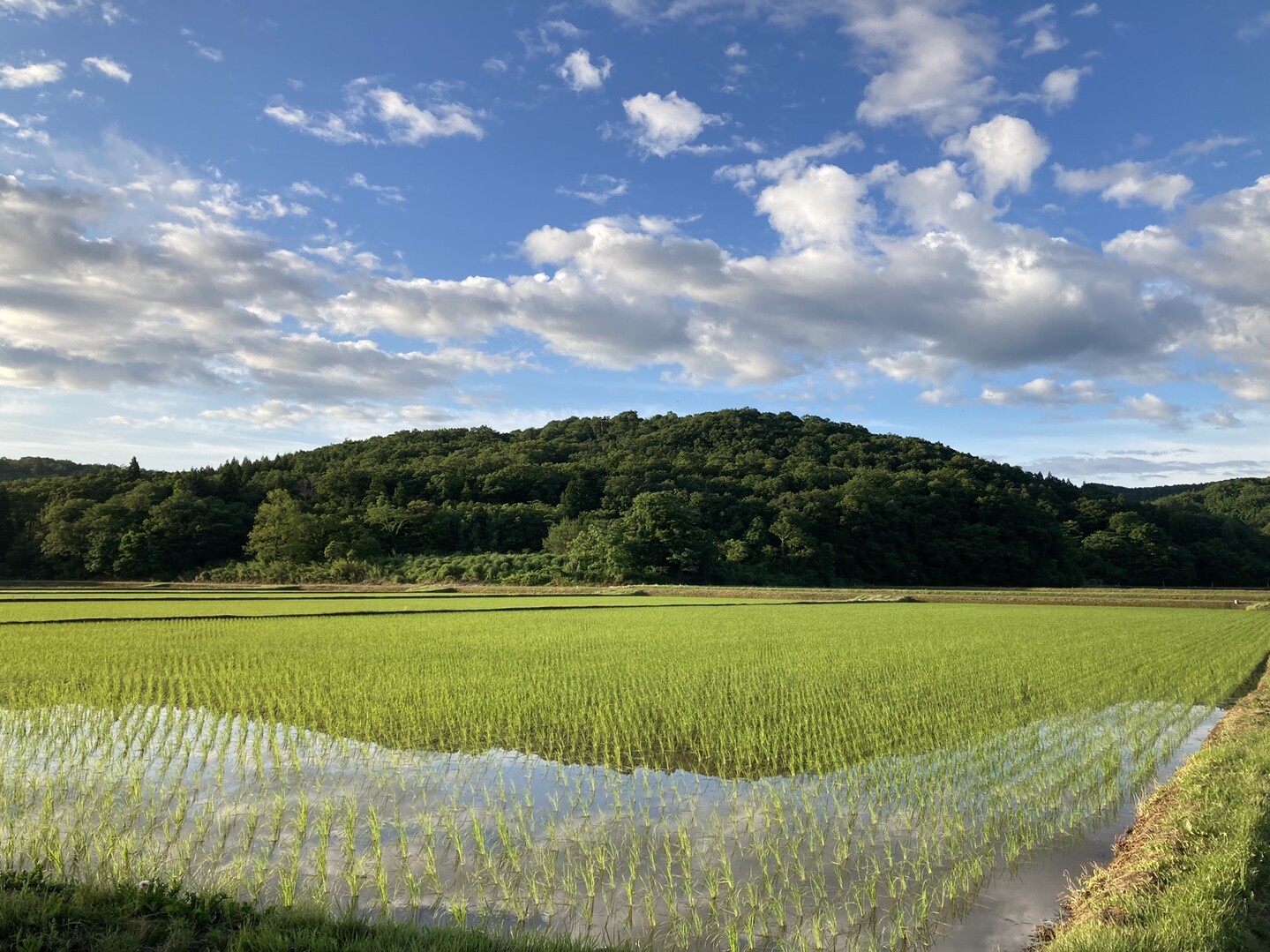 今朝の風景を見返しました。 自己満足です... / 南家六角さんのモーメント | YAMAP / ヤマップ
