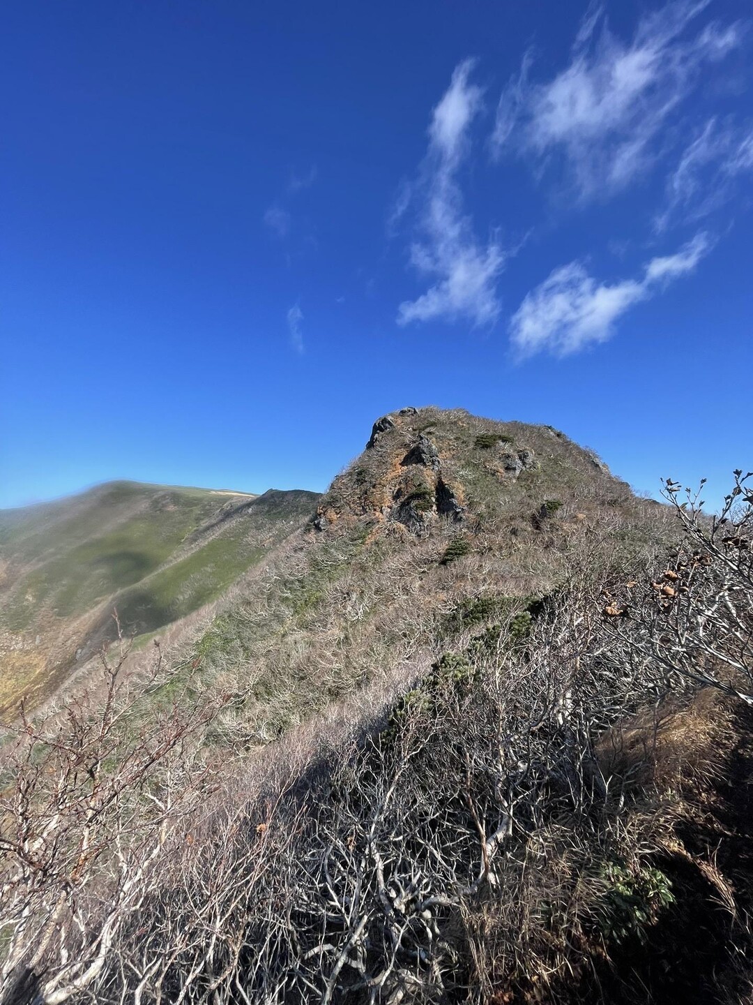 南狩場山・狩場山 / Shuさんの狩場山の活動データ | YAMAP / ヤマップ