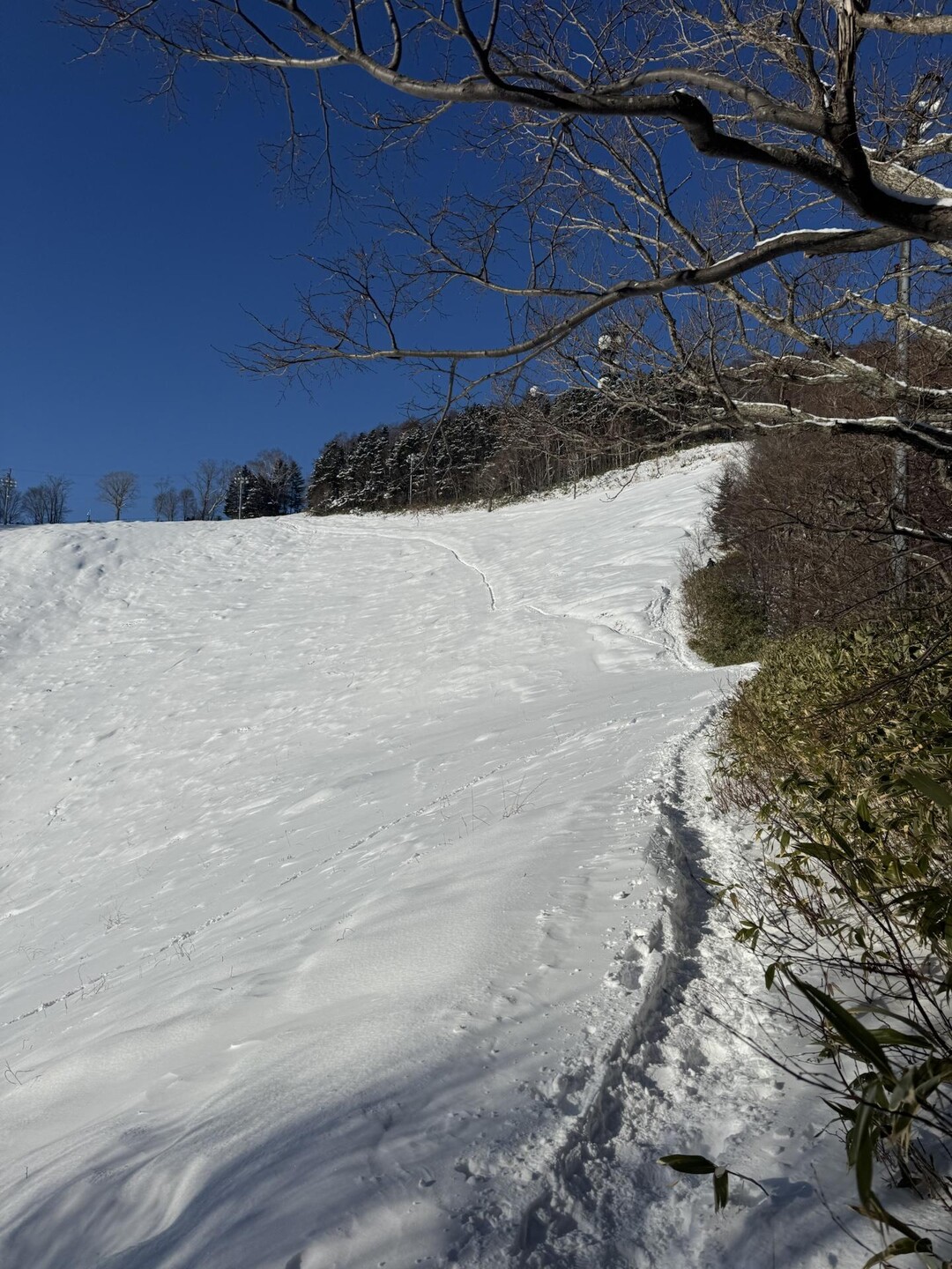 山鼻山・藻岩山 / ASAさんの藻岩山の活動データ | YAMAP / ヤマップ