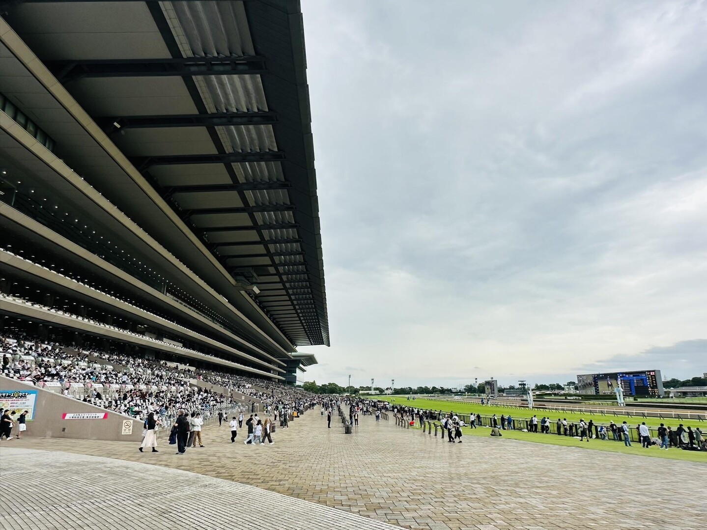 240623 東京競馬場🐎💴 / sptaka,Jr.さんの府中市（東京都）の活動データ | YAMAP / ヤマップ