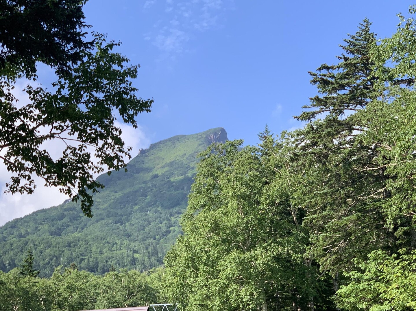 黒岳登山記録会、長く記憶に残るだろう / monkさんの大雪山系・旭岳・トムラウシの活動データ | YAMAP / ヤマップ