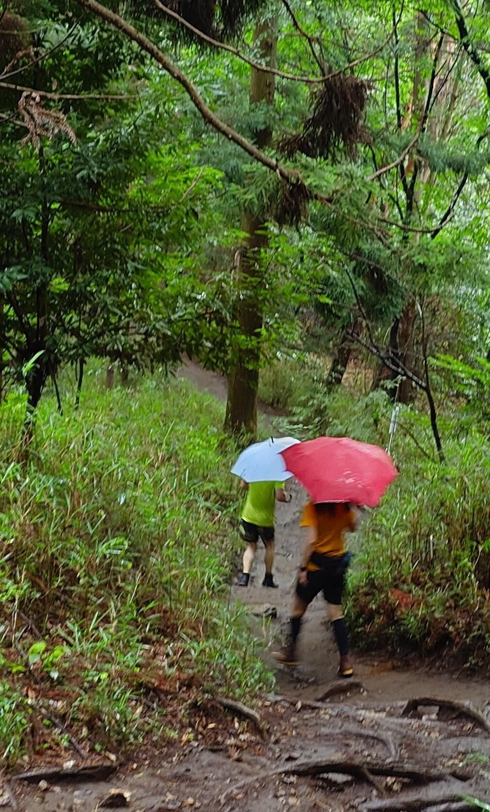 雨降りアヅマ 27分登頂 / ta2さんの鳴神山・吾妻山の活動データ | YAMAP / ヤマップ