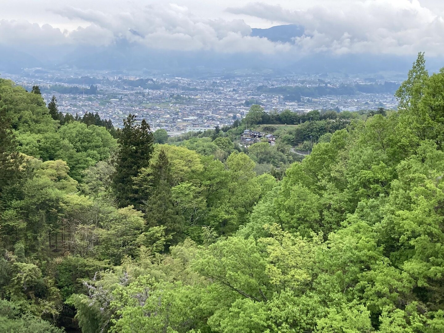 飯田やまびこマーチに参戦 / とわろー（towa & rose）さんのウォーキングの活動データ | YAMAP / ヤマップ