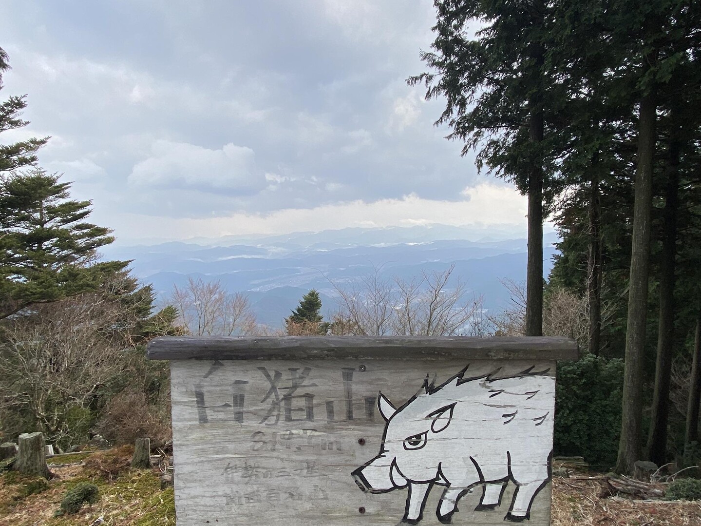【23年登り納め おかわり】白猪山二ノ峰・白猪山 / ari papaさんの白猪山の活動データ | YAMAP / ヤマップ
