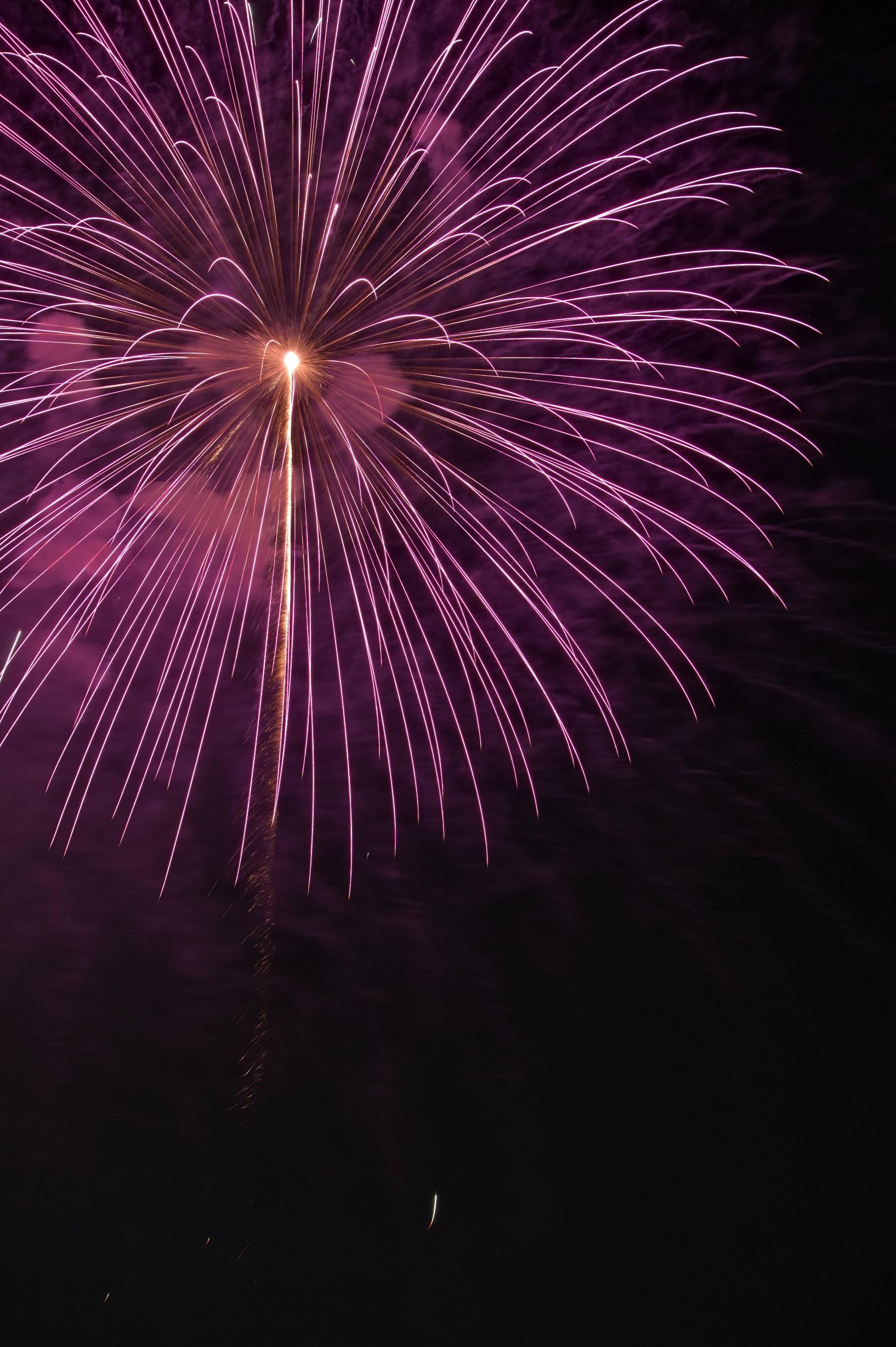 なかがわ市民の祭り もっと遠くかと思って... / GTさんのモーメント | YAMAP / ヤマップ