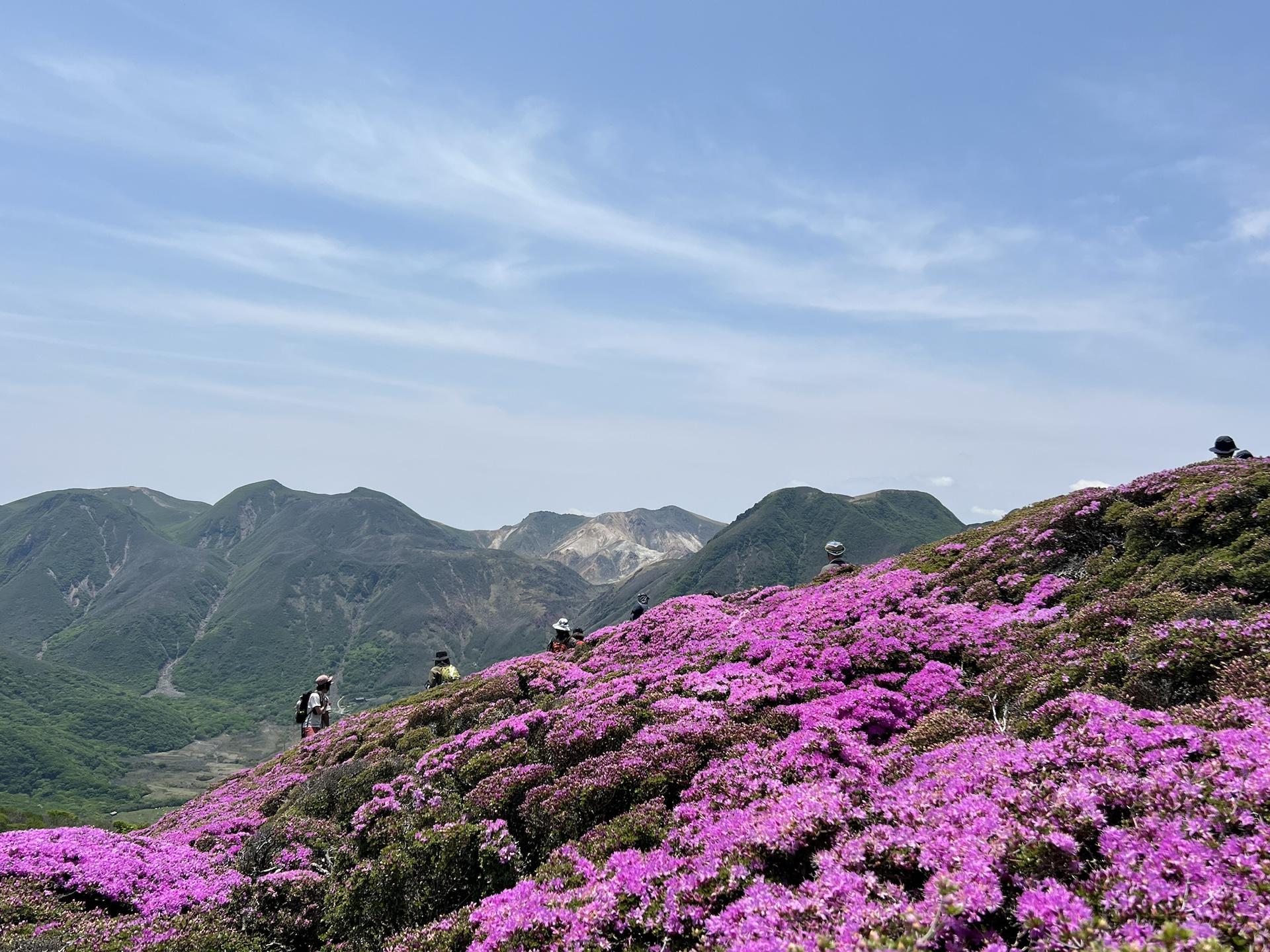 MK🌸とYAMAP社長さんに会えた😊〜平治岳〜 / レモンさんの九重山（久住山）・大船山・星生山の活動データ | YAMAP / ヤマップ