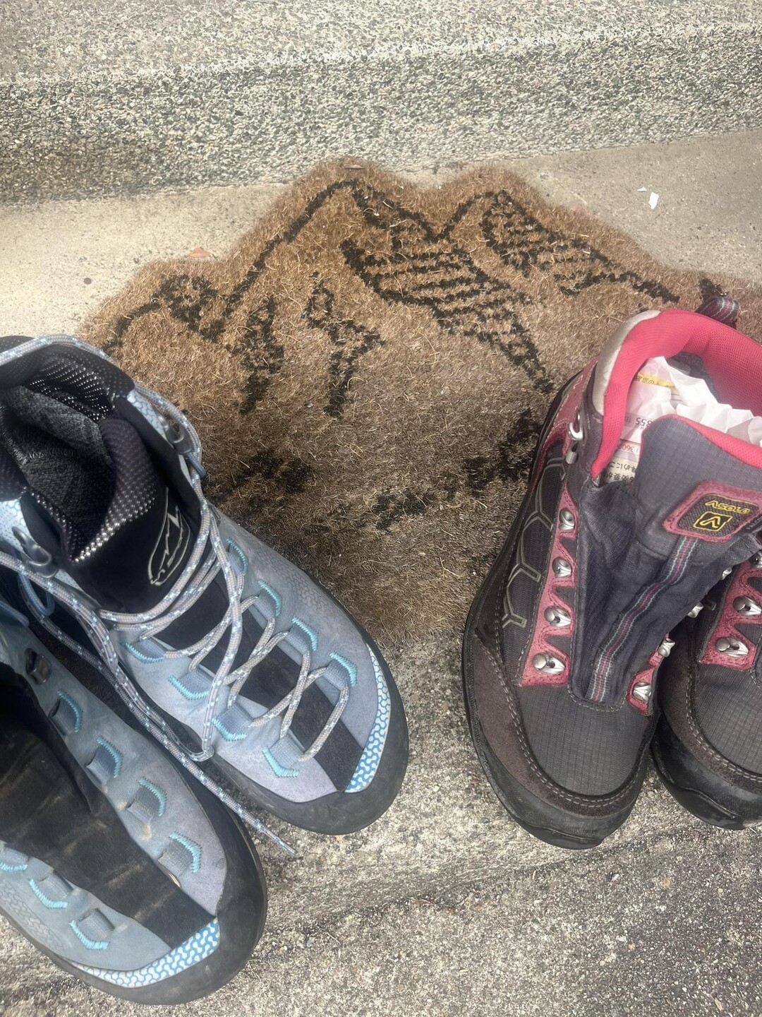 今日はお山に行かないので 登山靴のクリー... / pumpkin manさんのモーメント | YAMAP / ヤマップ