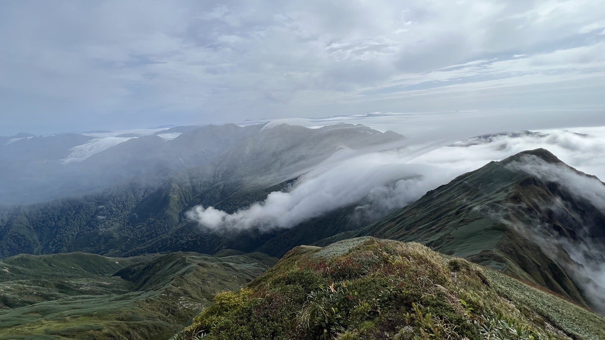 まるで羽衣をまとった様な 平標から仙ノ倉へ2022-09-22 / kozueさんの仙ノ倉山・平標山・大源太山の活動データ | YAMAP / ヤマップ