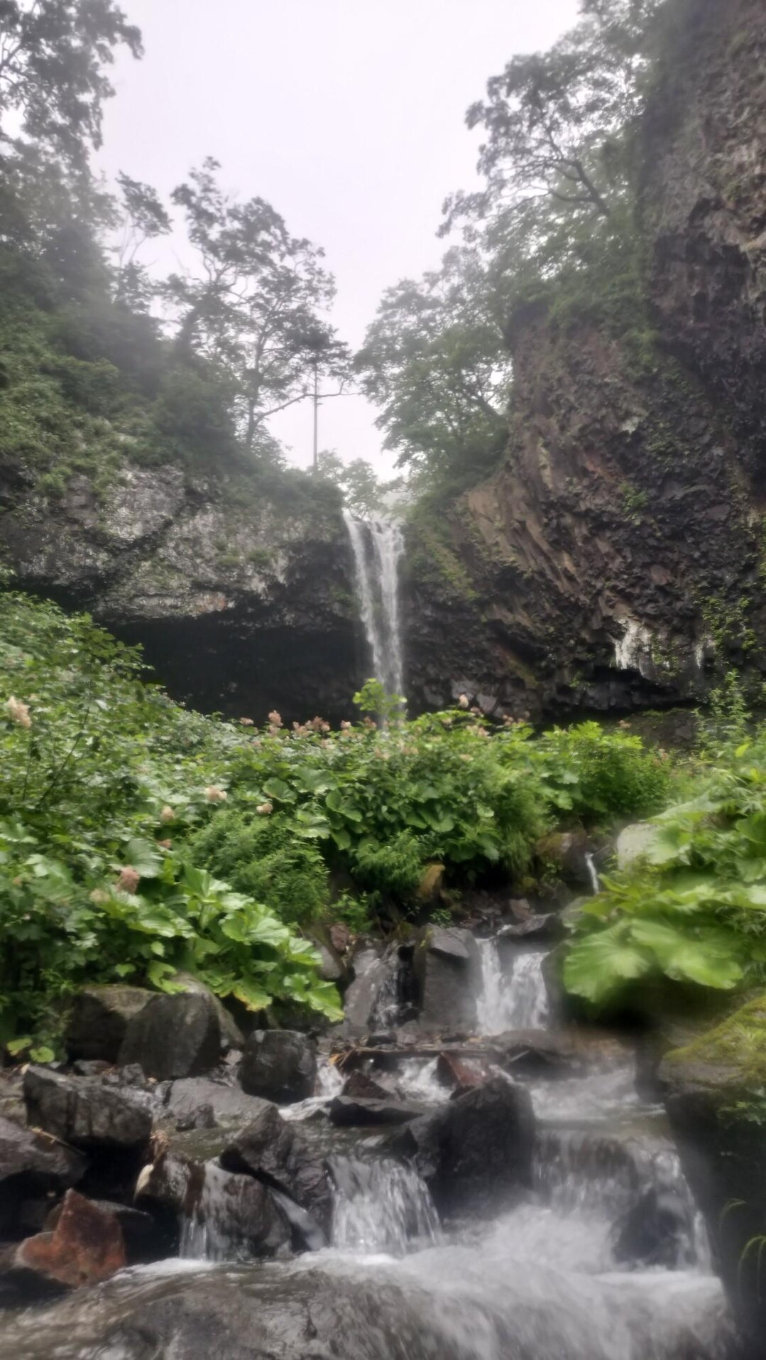 クテクンの滝〜クテクンベツ岳 / sikasunさんの武佐岳の活動日記 | YAMAP / ヤマップ