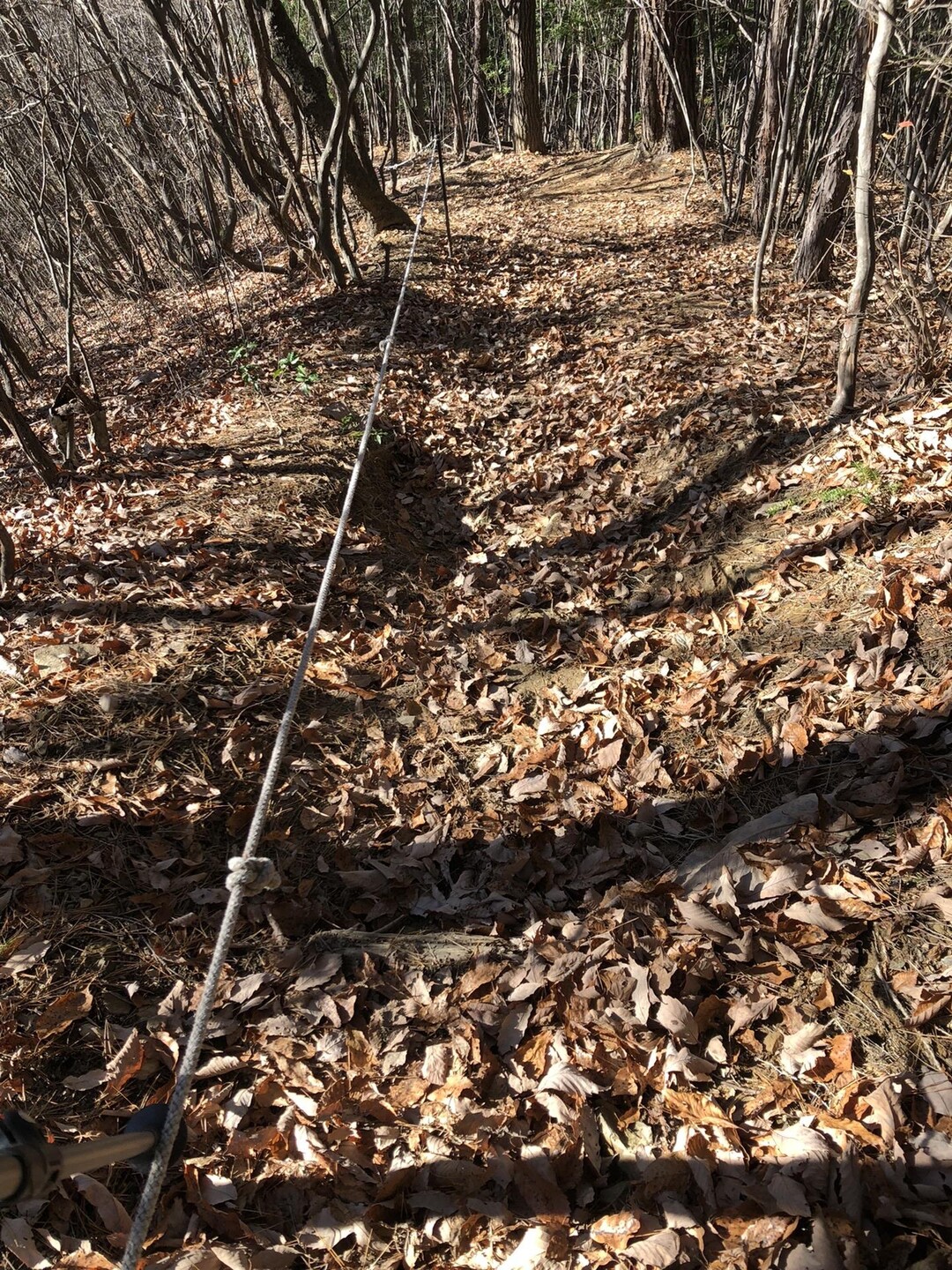 ykさんの投稿したフィールドメモ | YAMAP / ヤマップ