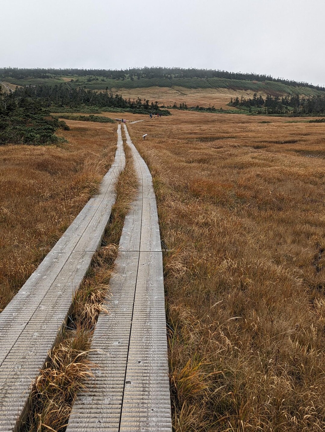 八幡平 紅葉を見に / hiromiさんの八幡平・源太森・安比岳の活動データ | YAMAP / ヤマップ