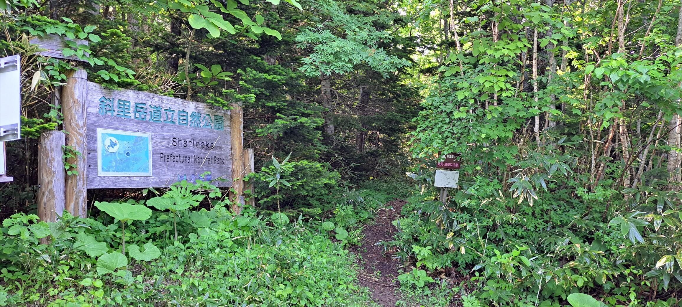 斜里岳 / mojyaさんの斜里岳の活動データ | YAMAP / ヤマップ