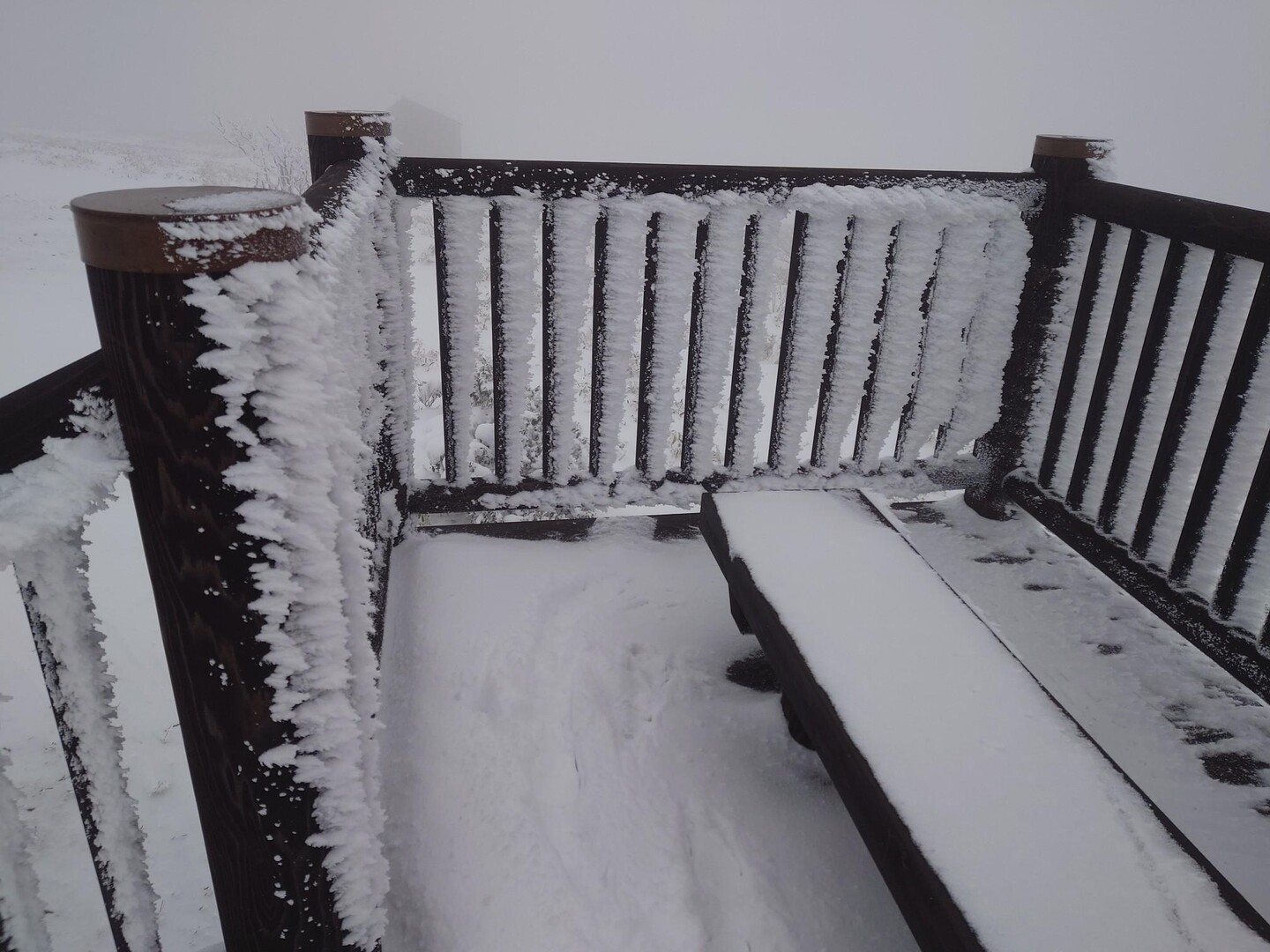 2024年登り初 那岐山登山！ / cafe_rさんの那岐山・滝山・広戸仙の活動データ | YAMAP / ヤマップ