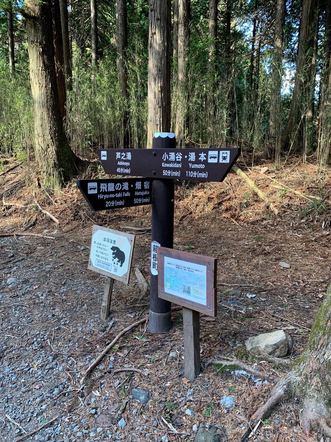 junさんの投稿したフィールドメモ | YAMAP / ヤマップ