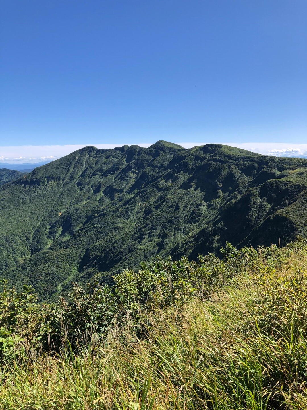 秋晴れ🍁青雲岳・守門岳・大岳 / kkoさんの守門岳・大岳・網張山の活動データ | YAMAP / ヤマップ