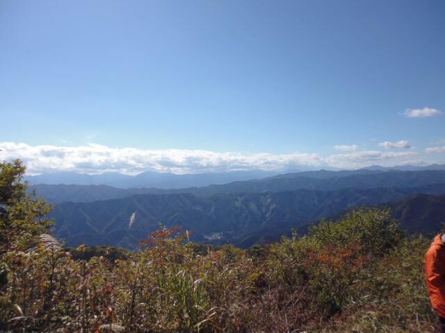 大岳山 / noraさんの大岳山・御岳山・御前山の活動データ | YAMAP / ヤマップ