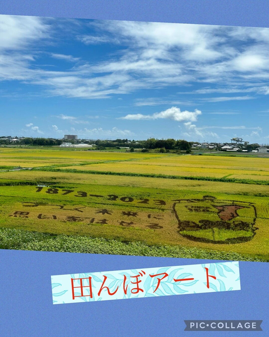 田んぼアート見に行って来た。 蓮沼交流セ... / datera🐻🐻🐻さんのモーメント | YAMAP / ヤマップ