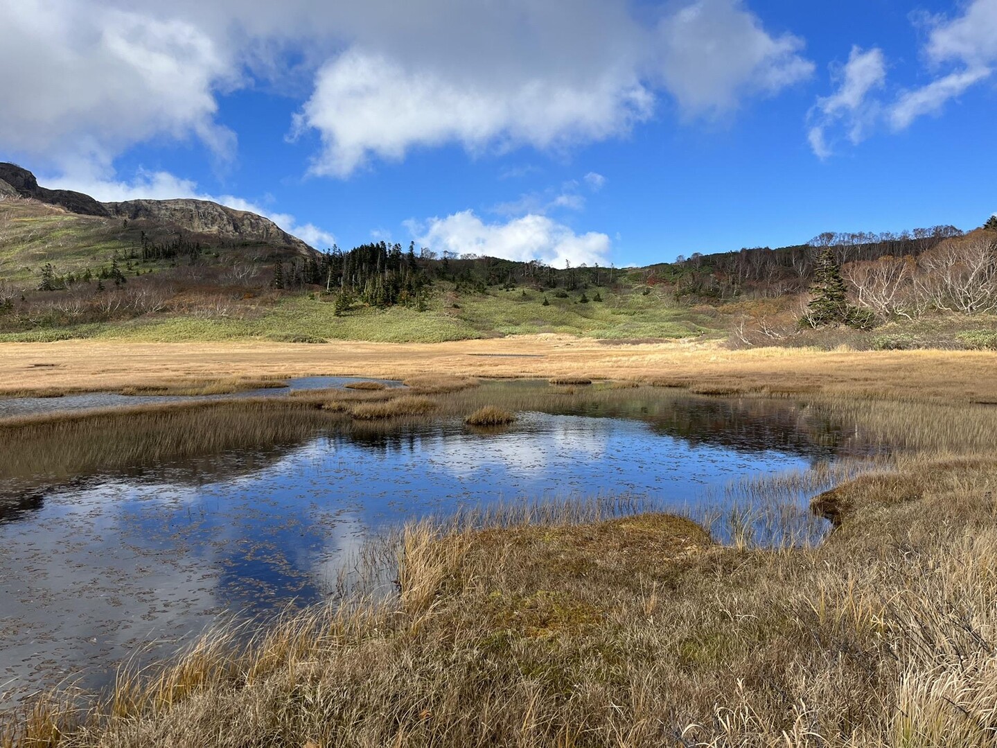 天狗の庭でUターン🍂火打山 / jittaさんの妙高山・火打山の活動データ | YAMAP / ヤマップ
